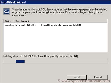 Installing Netapp Snapmanager For Sql