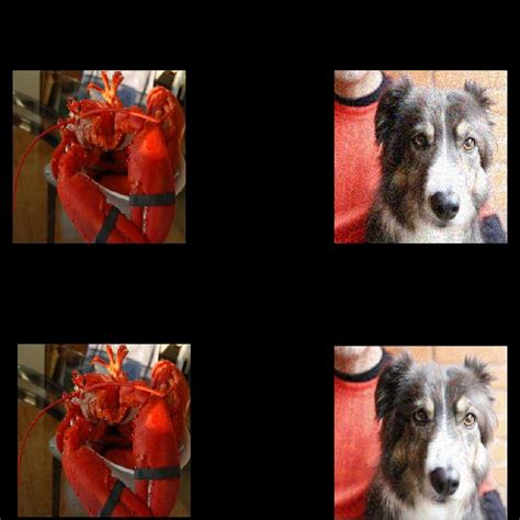 original images and adversarial images by the gradient based attack