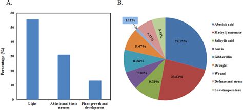 Cis Acting Element Analysis Of The Promoter Of Bhlh Genes In Papaya