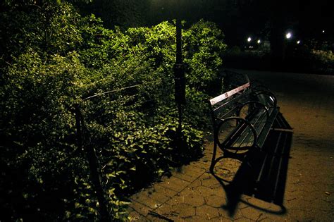 Sexo Para Chicas Sexo En El Parque