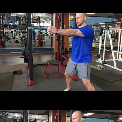 Pallof Press By Rushfitness 💪🏽 Exercise How To Skimble