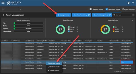 Introduction To Discovered Assets Entuity