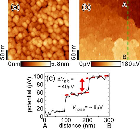 Color Online Topographic A And Potential B Images Simultaneously Download Scientific