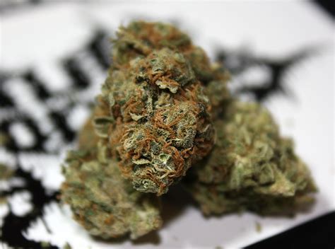 Og Kush Strain Review