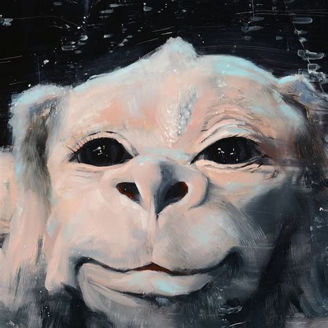 Falcor Etsy