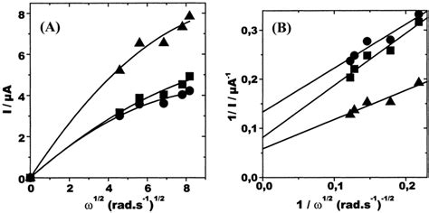 Levich A And Koutecky Levich B Plots For The Steady State Download Scientific Diagram