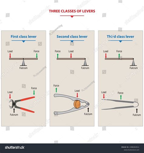 First Class Lever Diagram