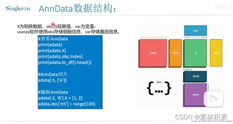 单细胞测序数据分析python工具库scanpy python 单细胞测序 差异基因 csdn博客