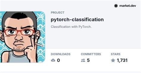 Pytorch Classification Ecosystem Directory Marketdev
