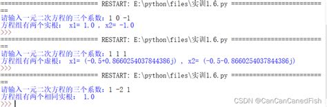 小学期学习Python编程实训实验报告 CSDN博客