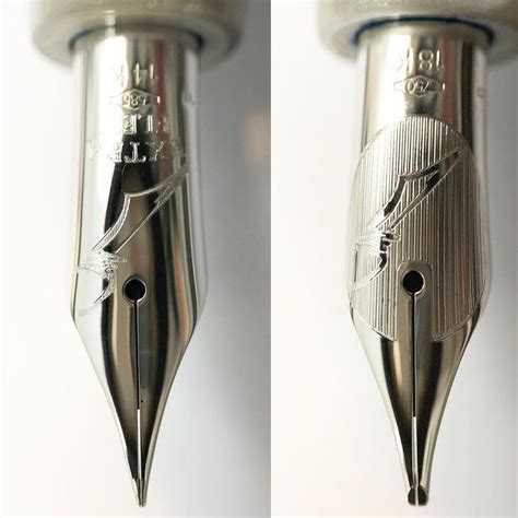 This Or That The Scribo Write Here Nibs On The Lef