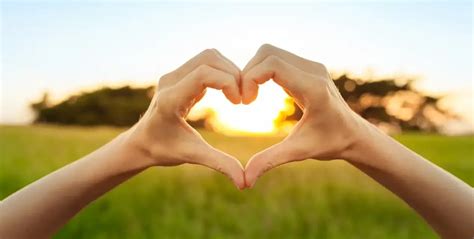 Heart Yourself Essential Energy Llc