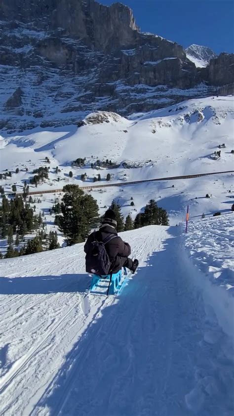 여행 스위스 알프스 3박 4일 일정 Vip티켓구매융프라우요흐클라이네샤이덱썰매 네이버 블로그