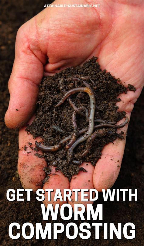 How To Make A Worm Bin Easy Diy Worm Composter Artofit