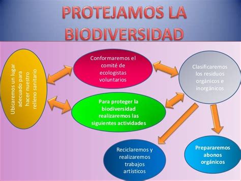 Grado Undécimo 2018 Semana 37 Sociales