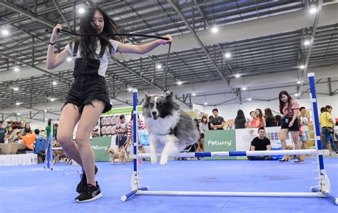 Shape Consumer Behaviour With Event Navigation