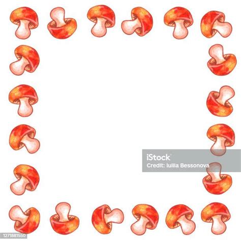 식용 버섯으로 만든 사각형 프레임 수채화 손으로 그린 템플릿 가을 디자인 추수 감사절 요리 포장 메뉴 인사말 카드 어린이 인쇄 배경 0명에 대한 스톡 벡터 아트 및 기타