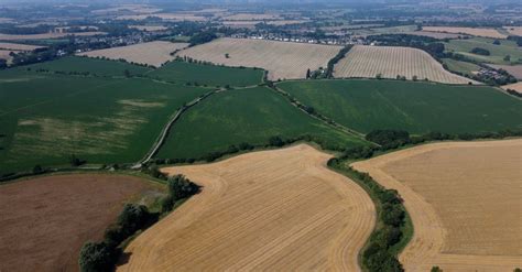 건초 농장 경치 경치가 좋은 곡물 작물 나무 녹색 농경지 농업 농업의 농지 농촌의 드론 영상 땅 목가적인 무성한 밀밭 수평선 수확 스카이라인