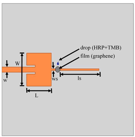 Geometry Of The Sensor With The Functionalized Graphene Film Download Scientific Diagram
