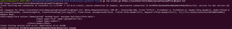 How To Upload A File Using Client In Example · Issue 2969 · Quic Go