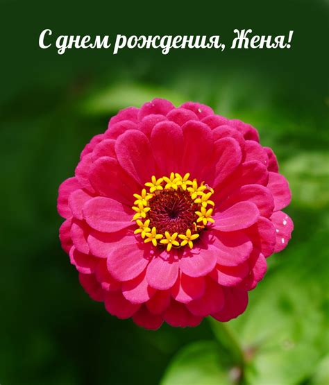 С днем рождения Женя