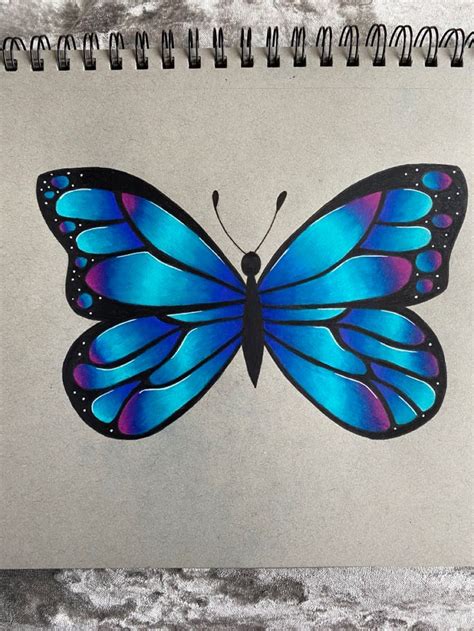 Blue Butterfly Drawing