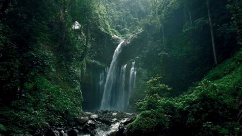 Scope 3 Guidance For Input Data Collection