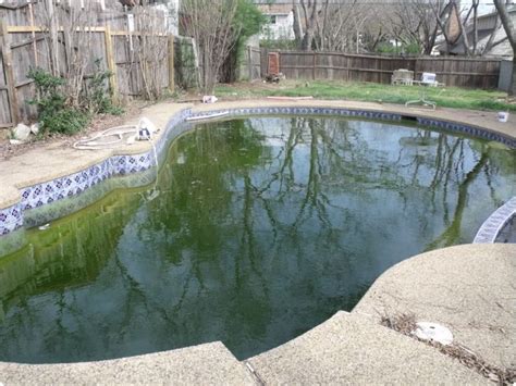 Beyond The Surface Understanding And Preventing Pool Contamination