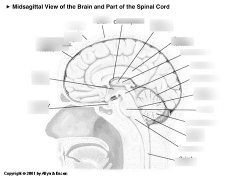 Psych 3240 Test 1 Diagram 7 Diagram Quizlet