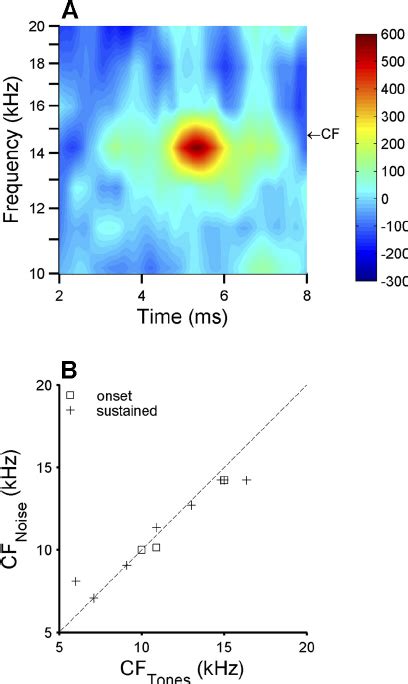 A Spectrotemporal Receptive Field Strf Analysis Performed On The
