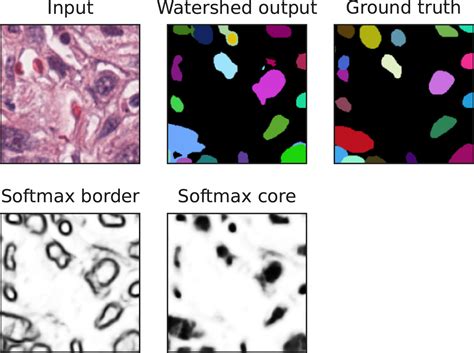 article on wide kernels and dct in cnns published in informatics in