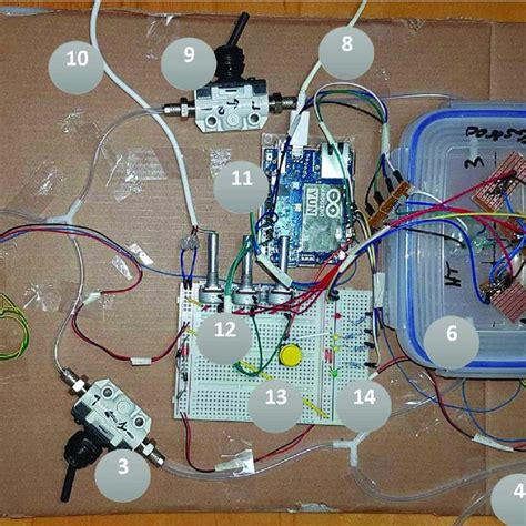 Dynamic Headspace Sampling Technique Download Scientific Diagram