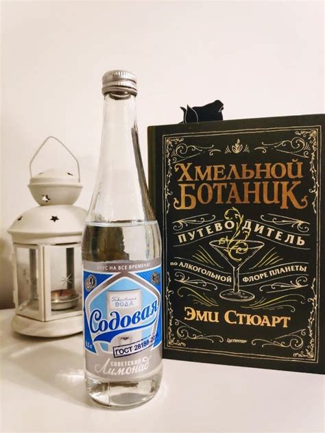 Содовая. Что это такое? | Смесь | Дзен