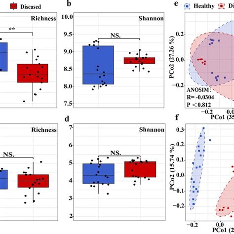 Main Predictor Importance Of Soil Multifunctionality Alpha Diversity