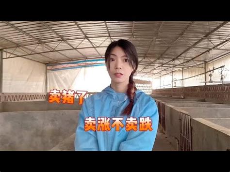 卖猪了卖涨不卖跌去年压到现在半夜赶紧出一车 YouTube