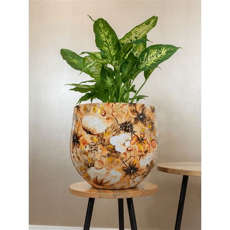 Designed By Lammie Cotton Cream Couple Eenvoudig En Snel Online Bestellen