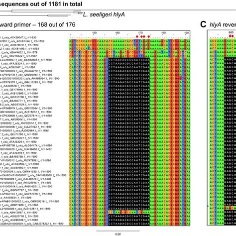 sequence alignment and phylogenetic tree were built for 176 listeria
