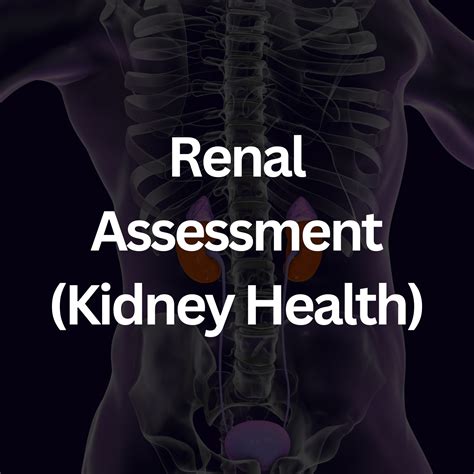 Cmp Comprehensive Metabolic Panel Mandm Labs