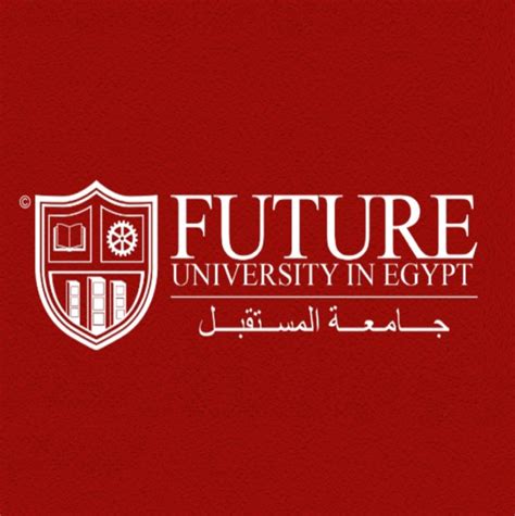 jobs and opportunities at future university in egypt fue jobiano