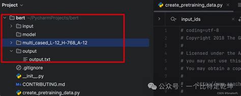 Bert模型深度剖析：史上最详尽教程，不会还有人不懂吧？ Csdn博客