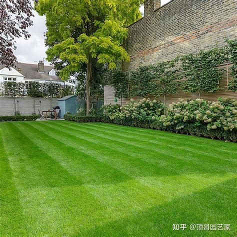 花园草坪有没有必要做盲管排水? 知乎 花园草坪有没有必要做盲管排水? 知乎