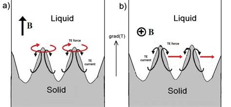 2 schematic temc patterns at the dendritic solidification interface