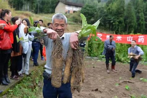 【委员建议】雷大锋：引领“小农户”进入现代农业发展轨道，深化农村“三位一体”综合改革