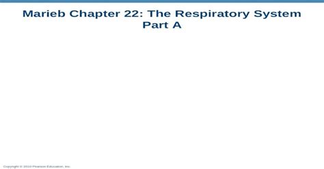 Ppt Marieb Chapter 22 The Respiratory System Part A Dokumentips