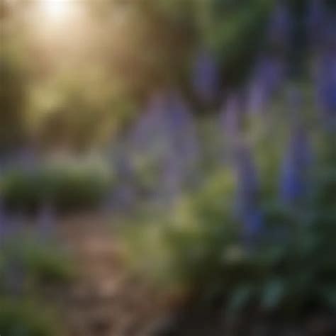 A Deep Dive Into Perennial Blue Salvias Benefits