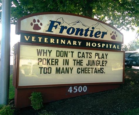 20 Hilarious Vet Signs That Every Cat Lover Will Understand Inspiremore