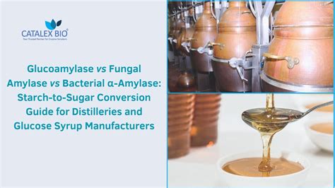Glucoamylase Vs Fungal And Bacterial Amylase Starch Conversion