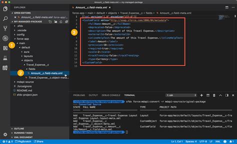 Examine The Converted Sfdx Source Files Salesforce Dx For Isvs