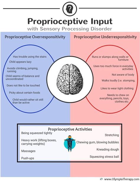 Get To Know Your Proprioception Proprioceptive Activities Sensory Processing Disorder
