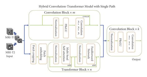 two hybrid architectures a hybrid convolution transformer model with